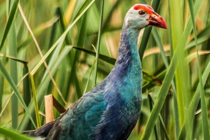 Bundala National Park by Ajith Safari - Final Thoughts