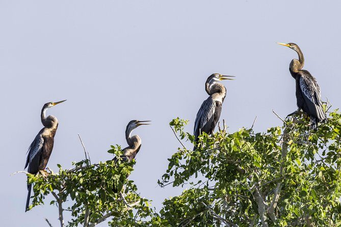 Bundala National Park Private Safari - An In-Depth Look at the Tour Experience