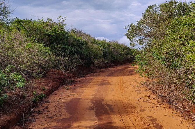 Bundala National Park Private Safari - The Sensory Experience and Ethical Considerations