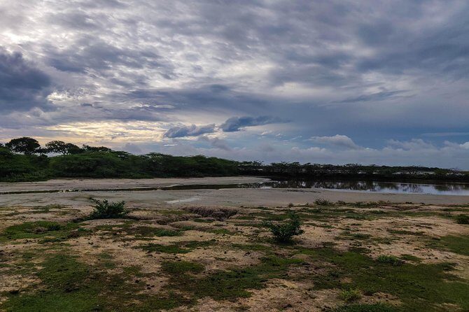 Bundala National Park Private Safari - Practical Details: Costs, Timing, and Tips