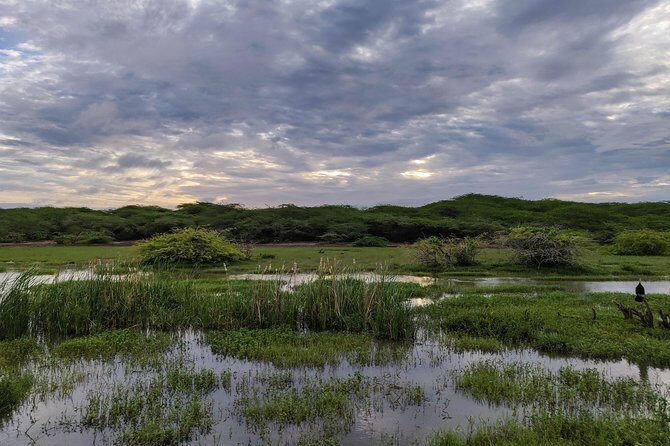 Bundala National Park Private Safari - Who Will Enjoy This Tour?