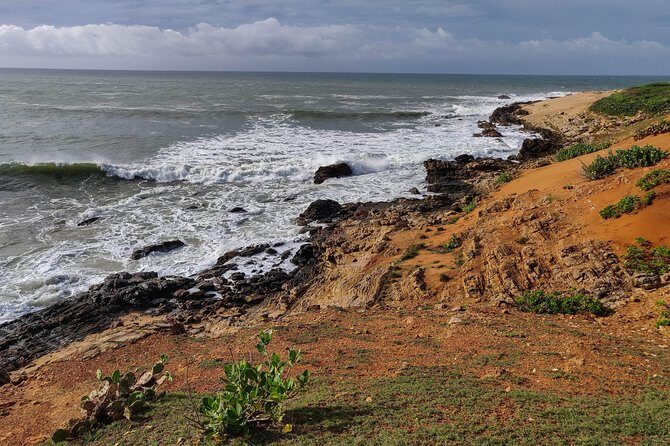 Bundala National Park Private Safari - Final Thoughts: Is It Worth It?