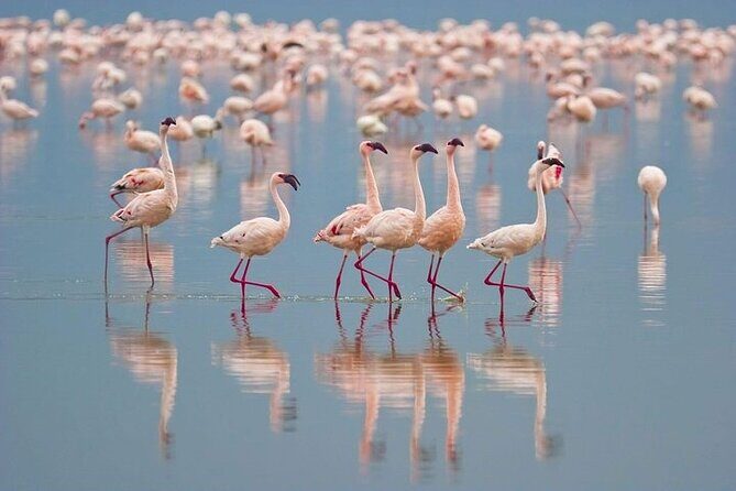 Bundala National Park Private Safari - Key Points