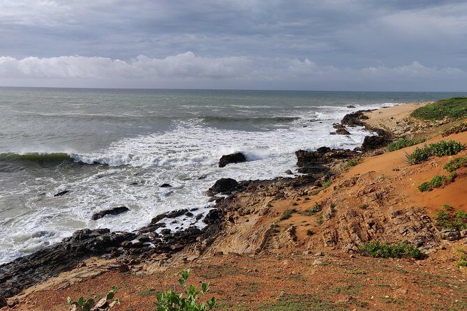 Bundala National Park Private Safari with Naturalist - Who Will Love This Safari?