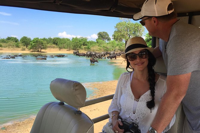 Bundala National Park Safari - Key Points