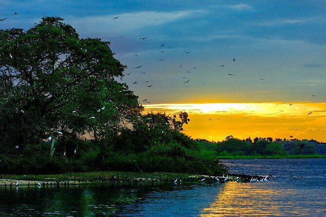 Bundala National Park Safari from Mirissa - The Sum Up: Who Should Book This Tour?