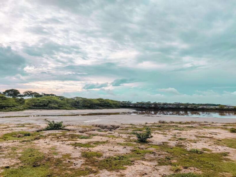 Bundala National Park Safari from Weligama - Discovering the Wildlife of Bundala National Park from Weligama