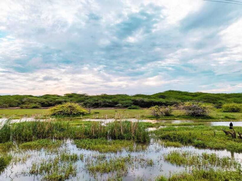 Bundala National Park Safari from Weligama - The Sum Up