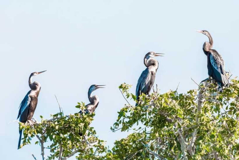 Bundala National Park Safari from Weligama - FAQ