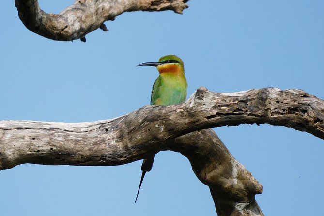 Bundala National Park Safari (PRIVATE TOURS)- Morning & Afternoon - FAQ