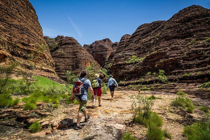 Bungle Bungle Scenic Flights, Domes & Cathedral Gorge Walk - The Experience: What to Expect on This Full-Day Tour