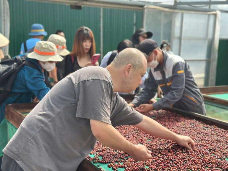 Buon Ma Thuot: Authentic Coffee Farm Experience with Lunch - Authentic Experiences and Local Culture