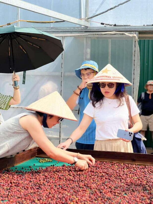 Buon Ma Thuot: Authentic Coffee Farm Experience with Lunch - Who Will Love This Tour?