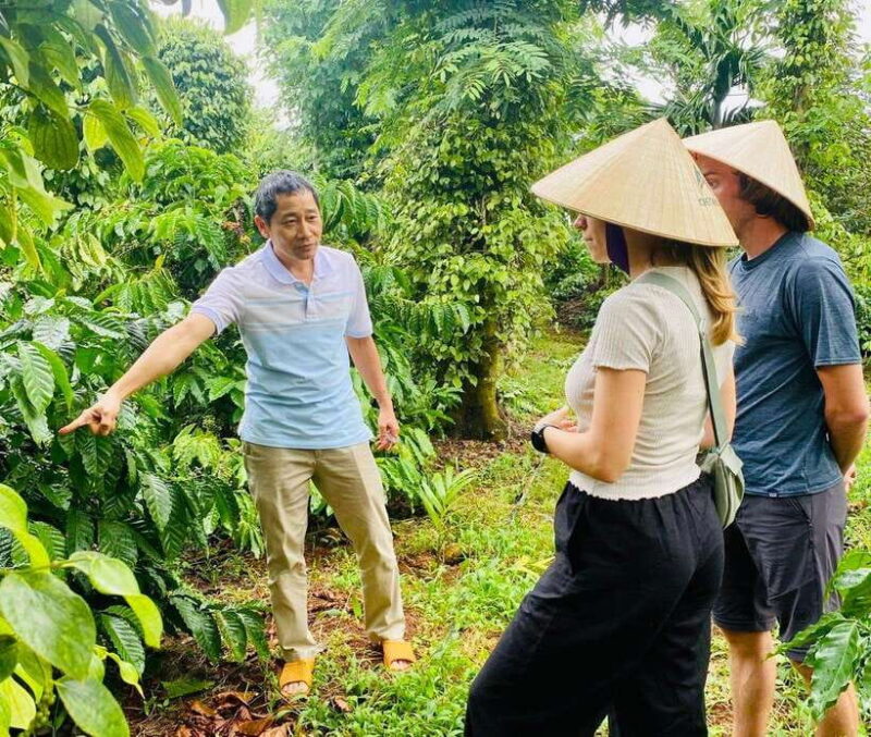 Buon Ma Thuot: Bean to Brew Coffee Farm Tour with Tasting - Key Points