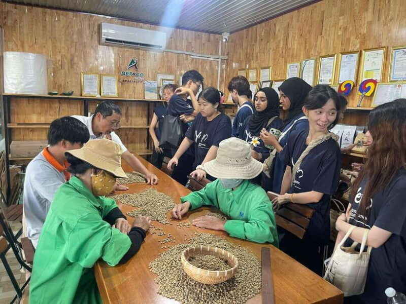 Buon Ma Thuot: Coffee Farm Tour (Bean to Brew) with Pickup - What Makes This Tour Stand Out