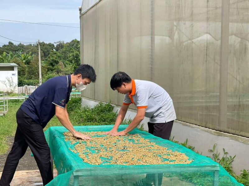 Buon Ma Thuot: Coffee Farm Tour (Bean to Brew) with Pickup - The Realities of the Experience