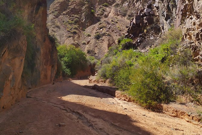 Burana Tower and Konorchek Canyons - The Sum Up: Who Will Love This Tour?