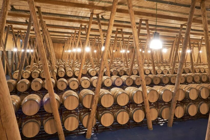 Burgos: Bela Winery - Villalba de Duero - Key Points