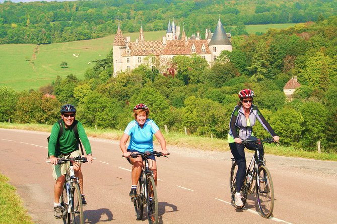 Burgundy Bike Tour with Wine Tasting from Beaune - Final Verdict: Who Will Love This Tour?