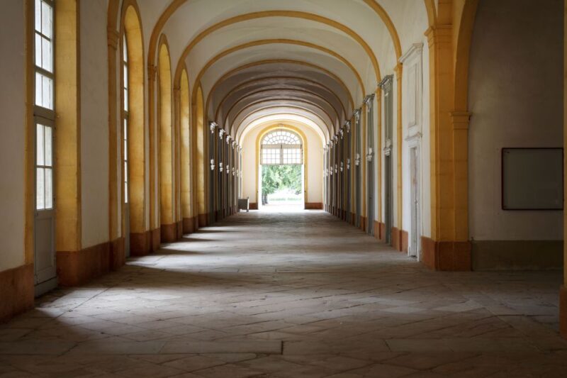 Burgundy: Cluny Abbey Entrance Ticket - What to Expect at Cluny Abbey