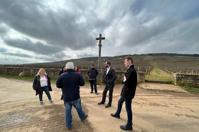 Burgundy Grand Crus Route Day Tour - 14 Wines Tastings in Domains - Meet Your Expert Guides
