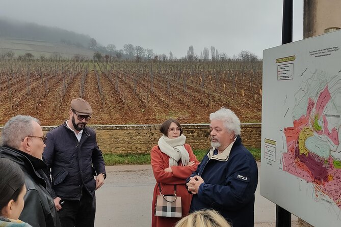 Burgundy Grand Crus Route Day Tour - 14 Wines Tastings in Domains - Guest Experiences and Testimonials