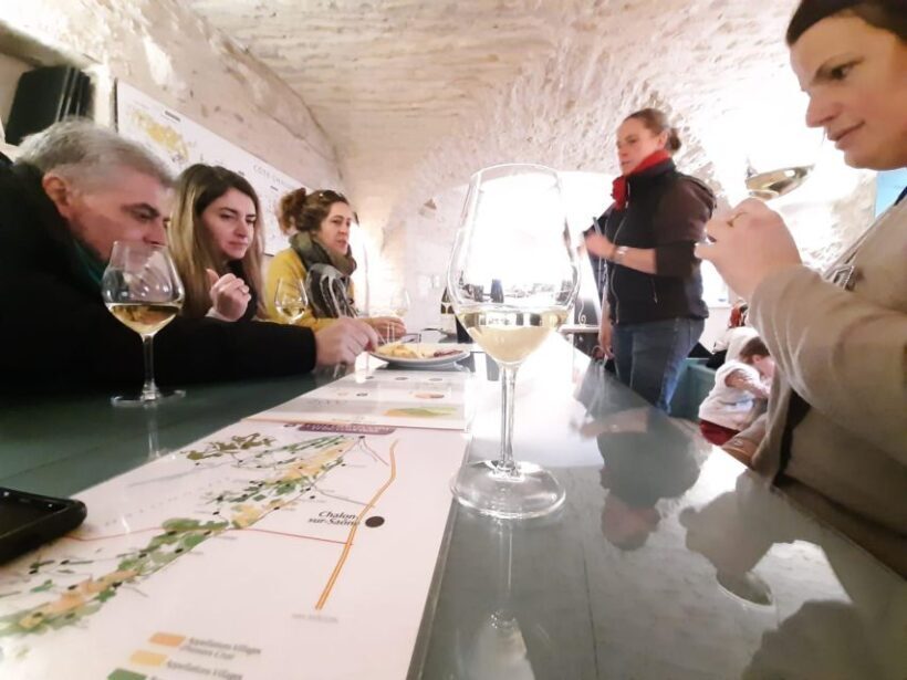 Burgundy: Guided Vineyard and Winery Tour with Wine Tasting - Key Points