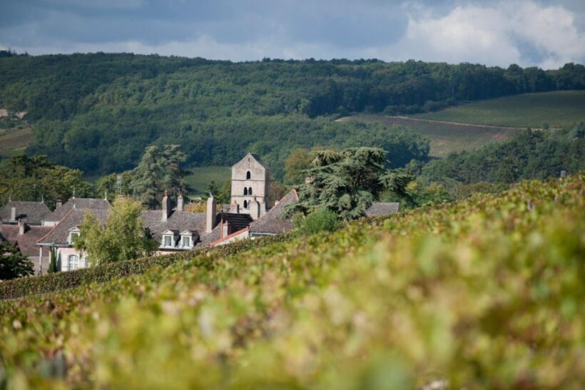 Burgundy: Guided Vineyard and Winery Tour with Wine Tasting - The Experience Provider: Domaine Ninot