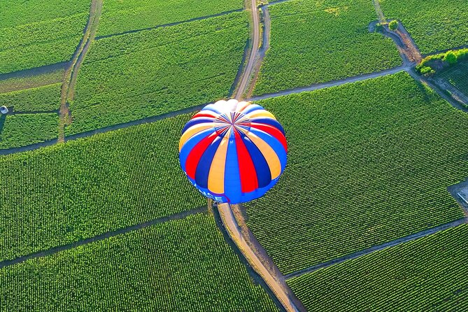 Burgundy Hot-Air Balloon Ride From Beaune - Meeting Point and Logistical Details