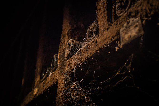 Burgundy Tour of Beaune Wine Tasting Review - Inclusions and Exclusions