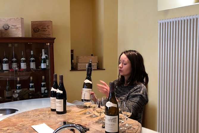 BURGUNDY : Unique Wine Tour from PARIS (Day-trip by TGV - High-speed train) - Key Points