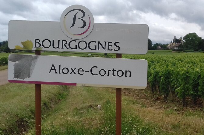 Burgundy Wine Lovers Day Tour with Private Driver - Burgundy Wine Lovers Day Tour with Private Driver: An In-Depth Review