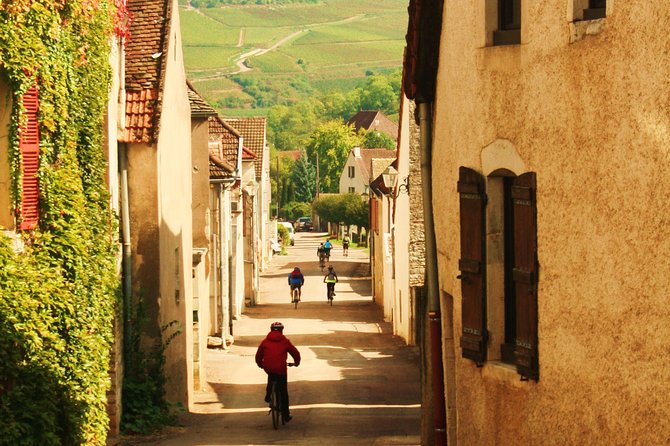 Burgundy wine trail from Beaune to Macon - Who Will Love This Tour?