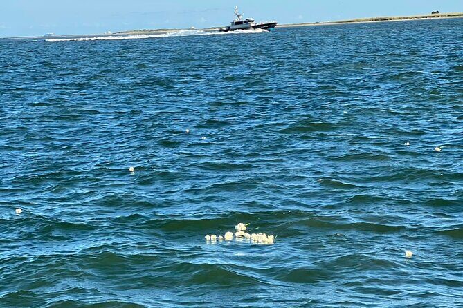 Burial at Sea Celebration of Life Charter - Who Should Consider This Experience?