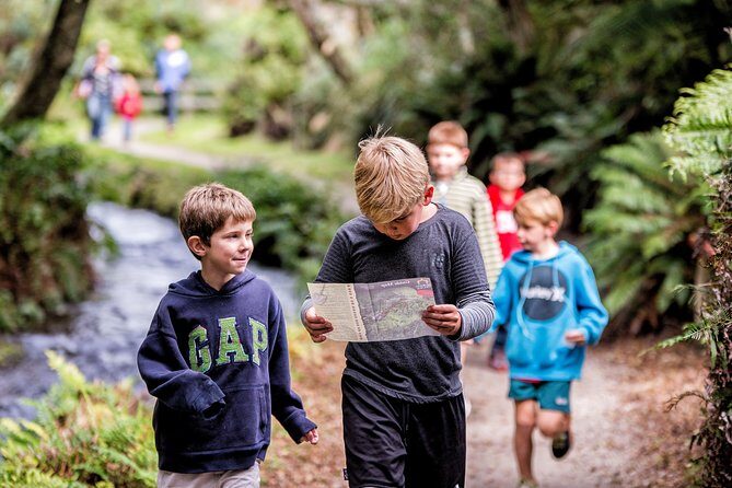Buried Village of Te Wairoa - An Honest Look at the Buried Village of Te Wairoa