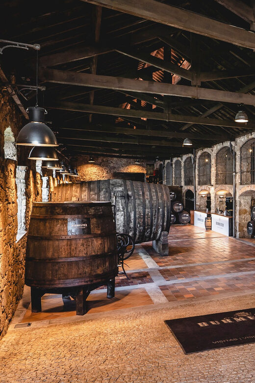 Burmester Cellar Tour - The Sum Up