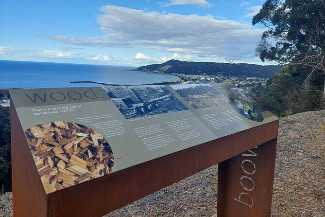 Burnie Attractions Bus: Burnie Shore Excursion - Key Points