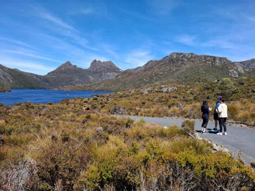 Burnie: Guided 6-hour tour to Cradle Mountain & Dove Lake - The Itinerary: What To Expect on Your Day