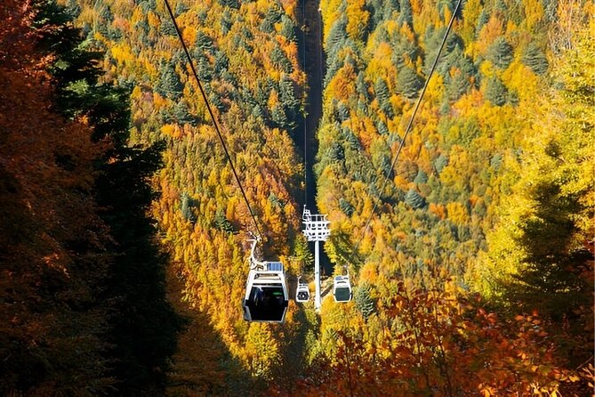 Bursa And Uluda Tour From stanbul with Cable Car & Lunch - Who Should Consider This Tour?