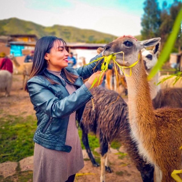 BUS 180 CUSCO - Overview and What to Expect