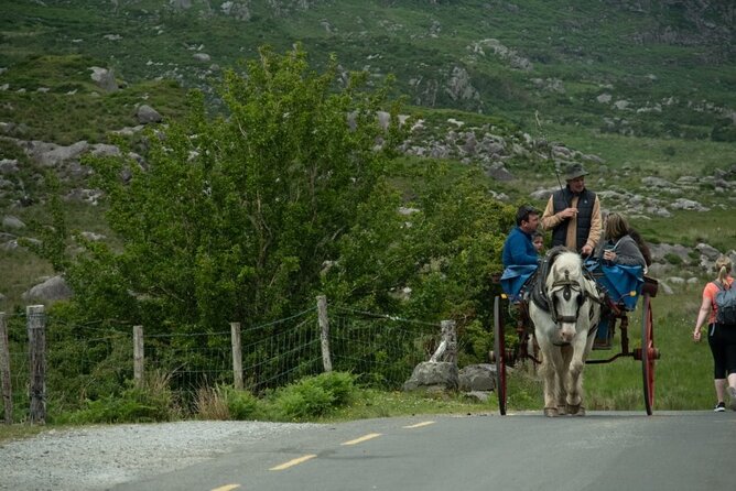 Bus, Boat & Jaunting Cart Tour (Jaunting Cart Paid Separately) - Jaunting Cart Experience