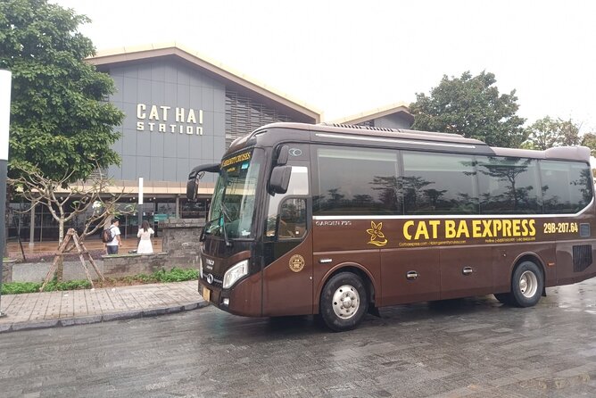 Bus Hanoi to Cat Ba Island with Cat Ba Express - What Travelers Are Saying: Authentic Insights