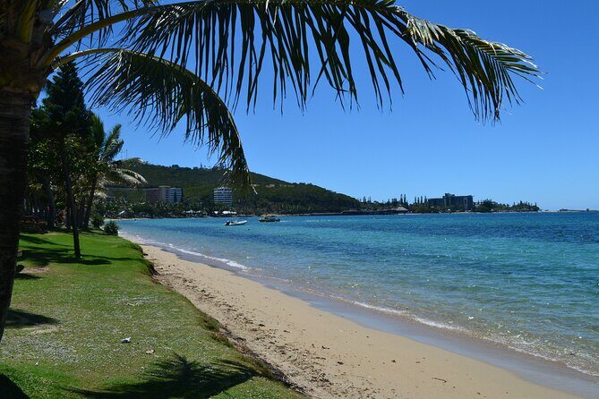 Bus Tour to Multiple Stops EN in Nouméa - Who Should Consider This Tour?