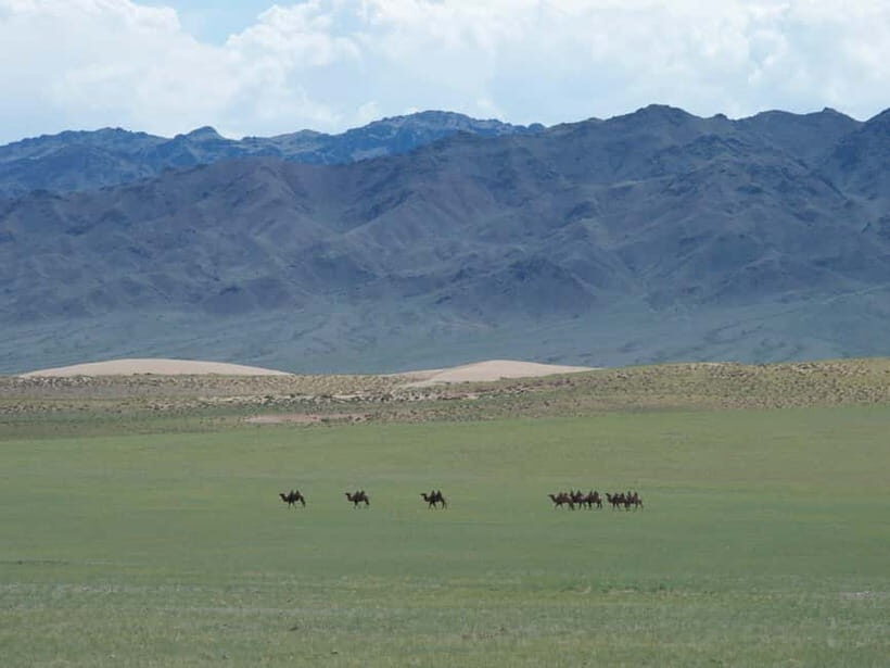 Bus tour to visit Gobi 4 day - What to Expect & Practical Tips