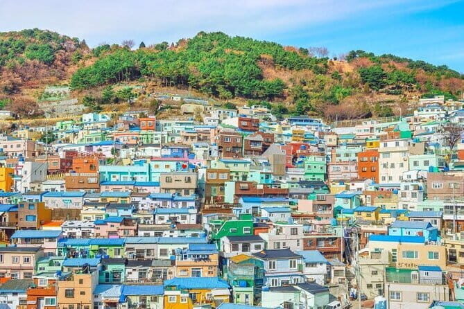 Busan 6hr Private Walking Tour with Certified Guide - Key Points
