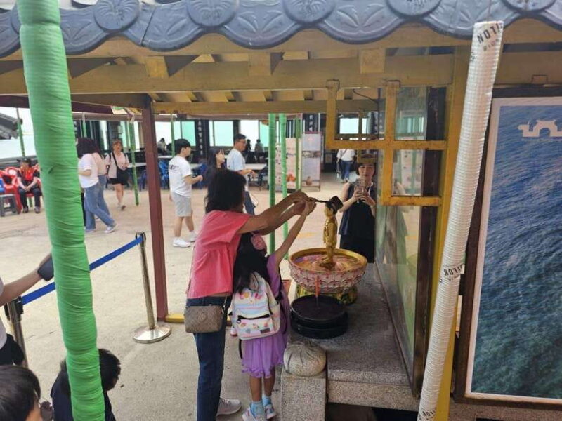 Busan: A Well-Rounded Small-Group Tour with Certified Guide - The Practical Side: Transportation, Group Size, and Value