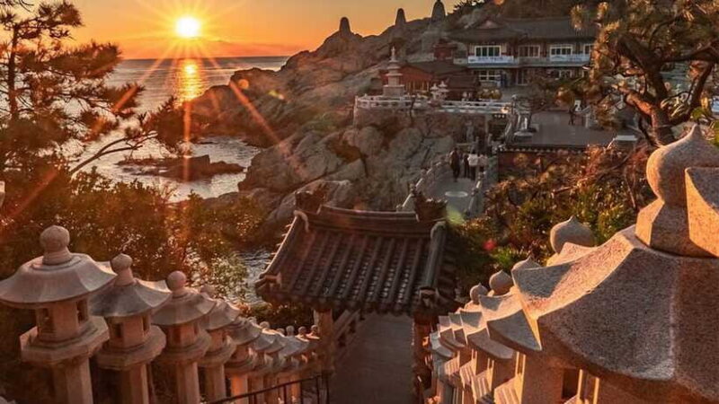 Busan: A Well-Rounded Small-Group Tour with Certified Guide - FAQ