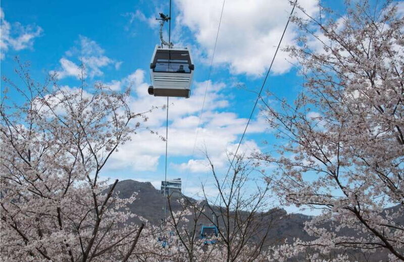Busan: A1.Hidden Gem Geoje & Oedo Botania Island& Cable car - Detailed Breakdown of the Itinerary