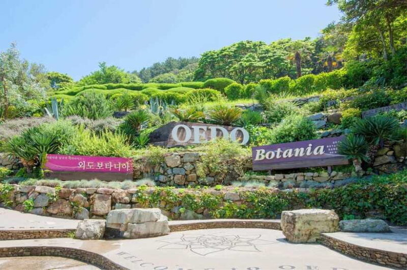 Busan: A1.Hidden Gem Geoje & Oedo Botania Island& Cable car - Who Will Love This Tour