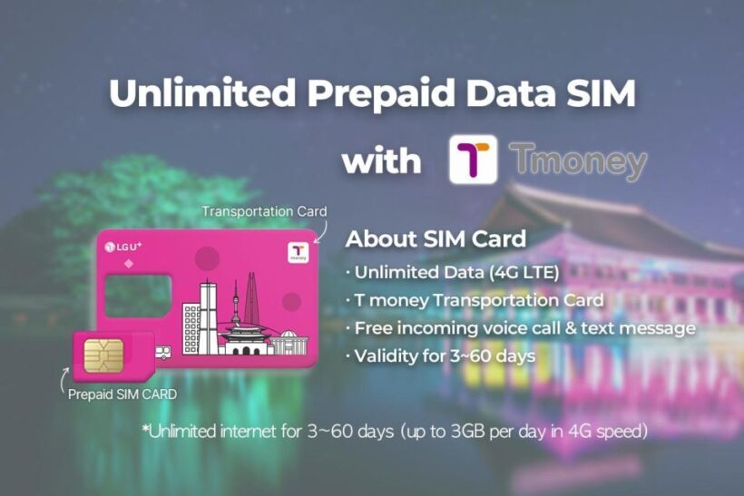 Busan Airport: Traveler SIM and Public Transportation Card - Why Choose This Travel SIM and Transit Card Package?